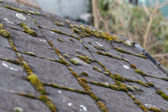 How Weather Affects Your Slate Roof - The Twelfth Century Slate Roofing Co.